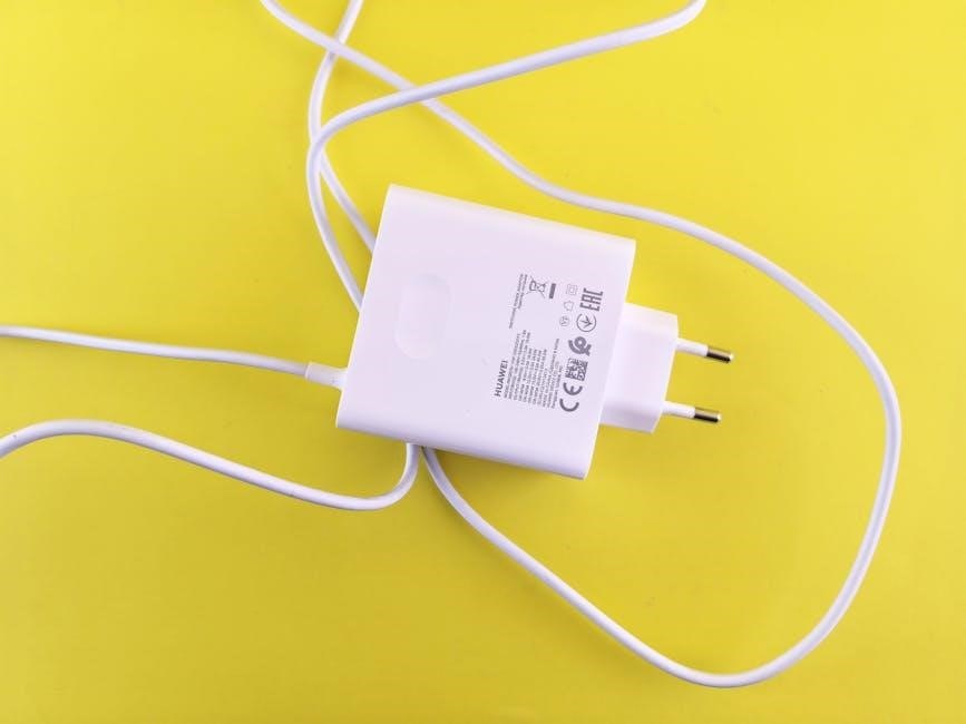DodoDuck USB Charger Recorder Manual - Easy Setup Guide